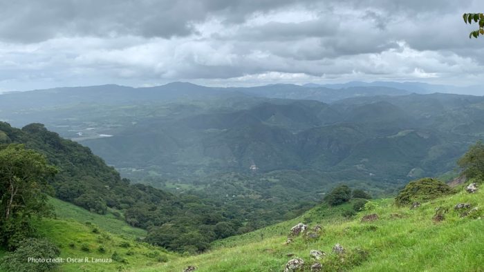 Conservation of the diverse forests of Nicaragua - Fondation Franklinia